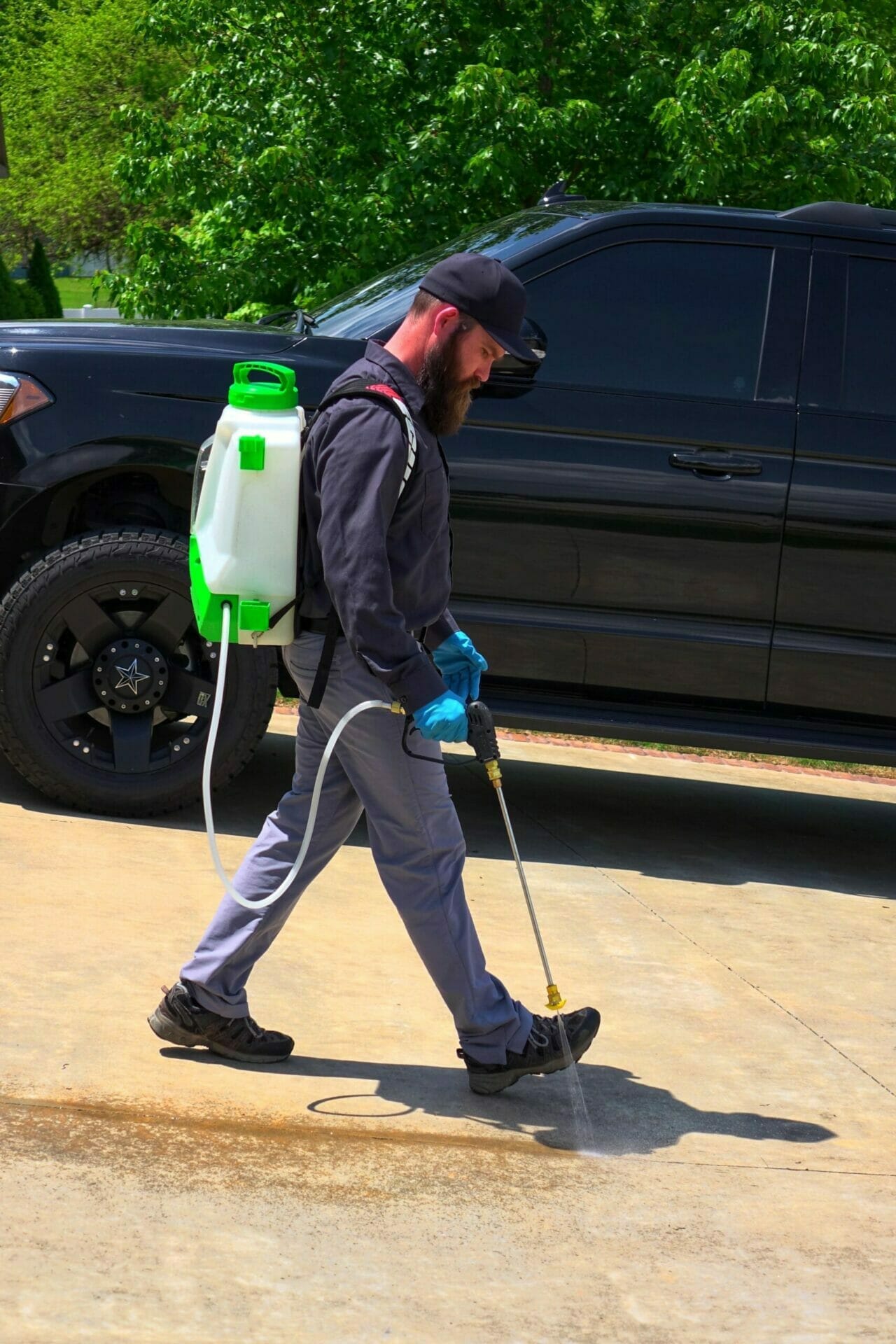 Flex Pest Control | Five-Star Rated & Award-Winning Company