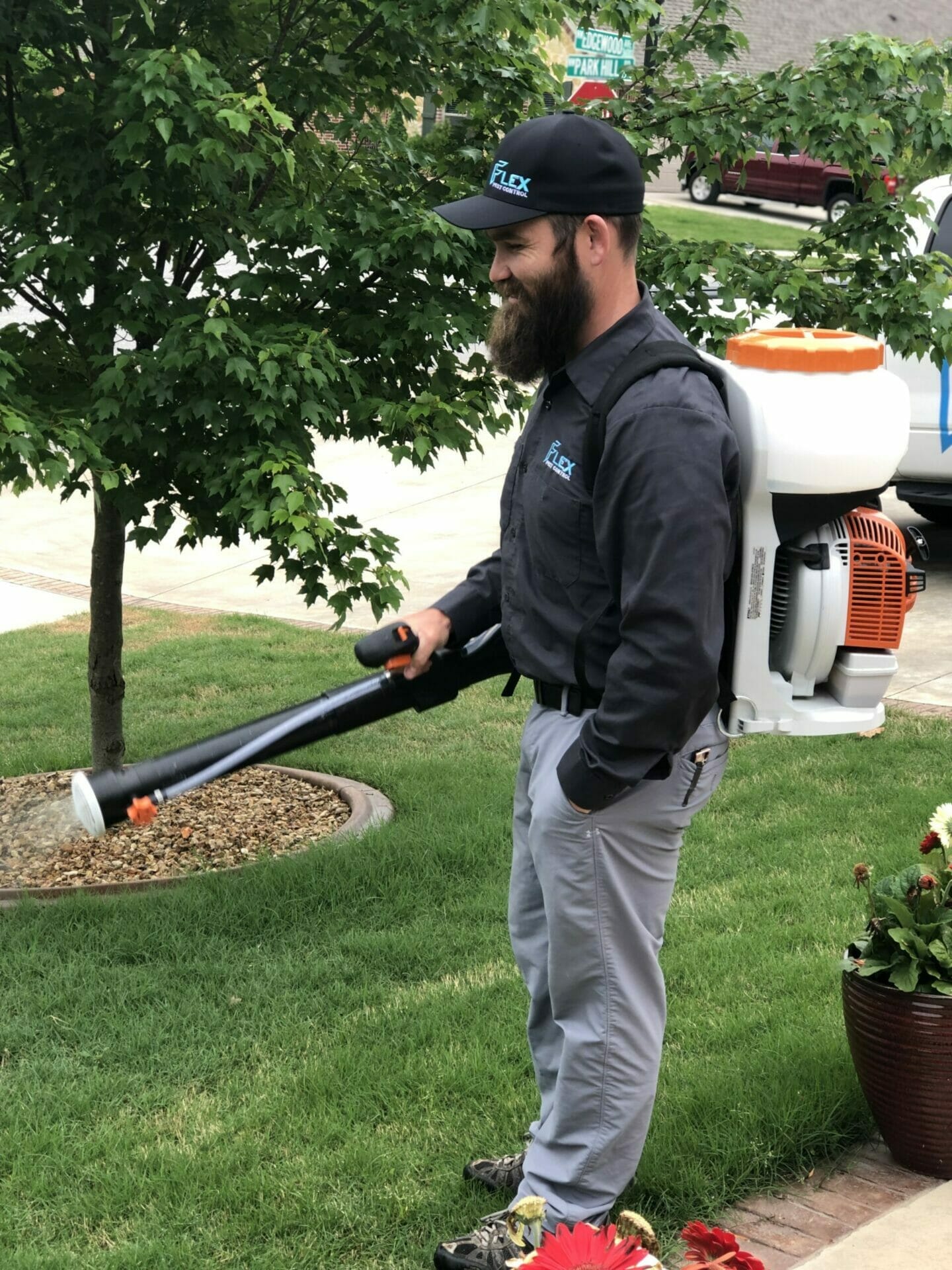 Flex Pest Control | Five-Star Rated & Award-Winning Company